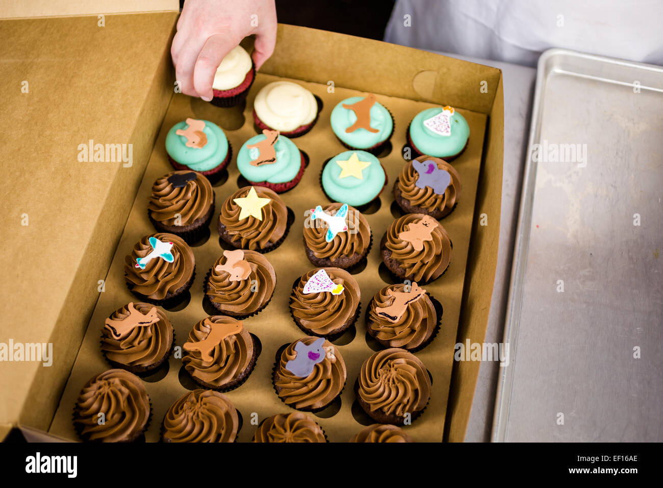 Fresh Chocolate cupcakes in the box Stock Photo - Alamy
