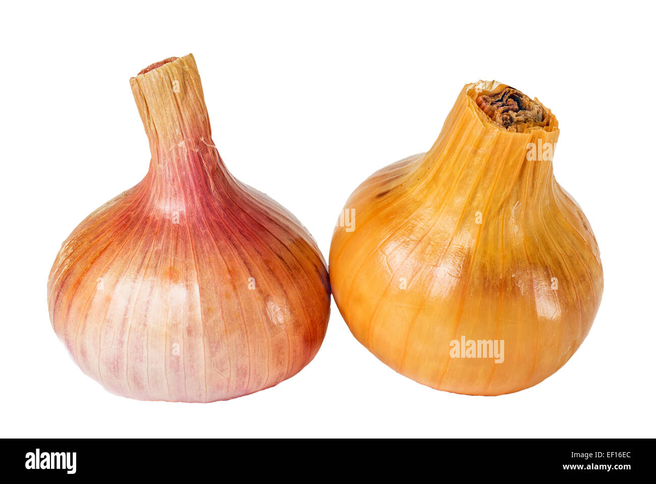 Savory ingredients hi-res stock photography and images - Alamy