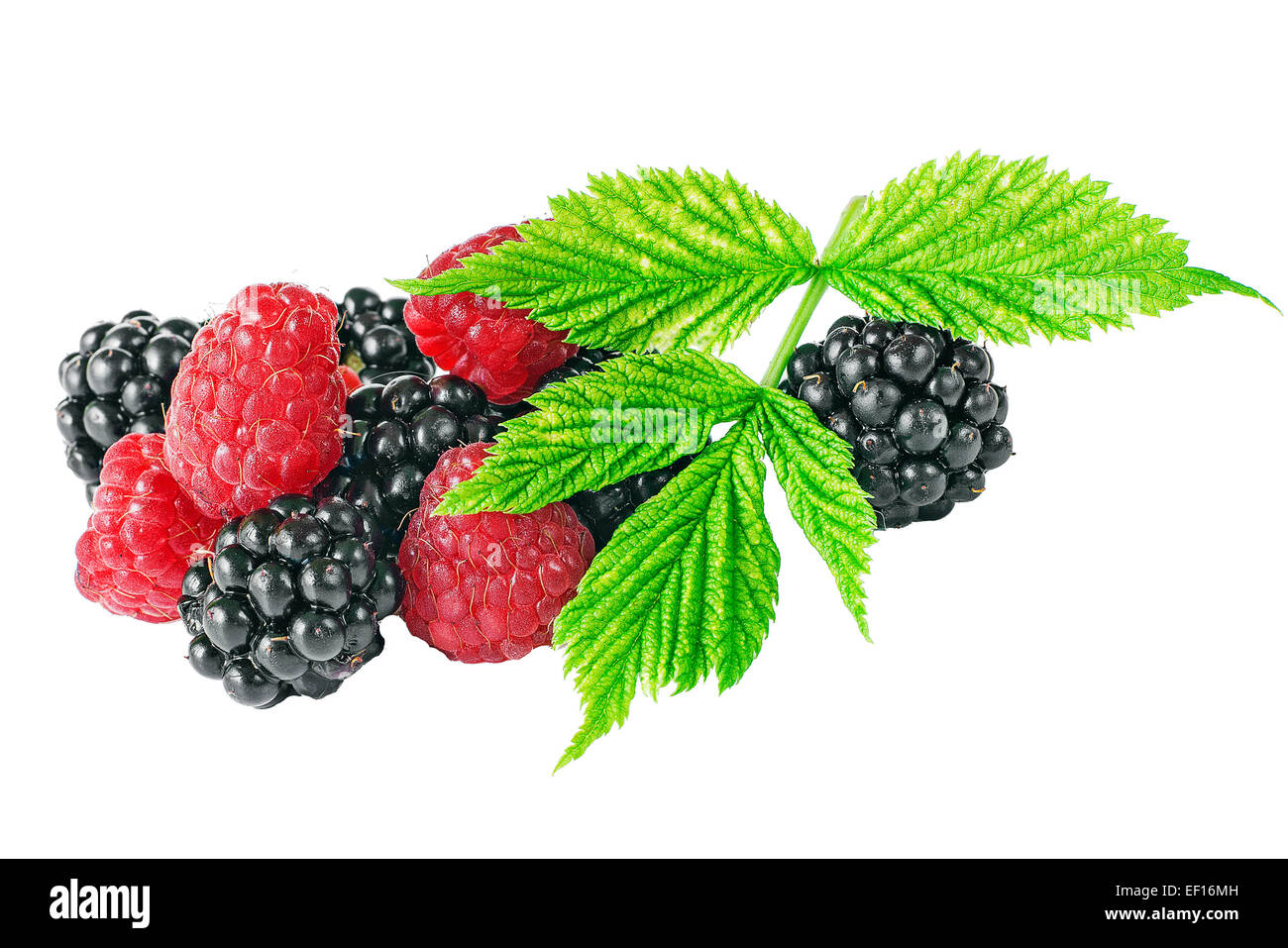 Raspberry blackberry fruit harvest food vitamins nature Stock Photo - Alamy