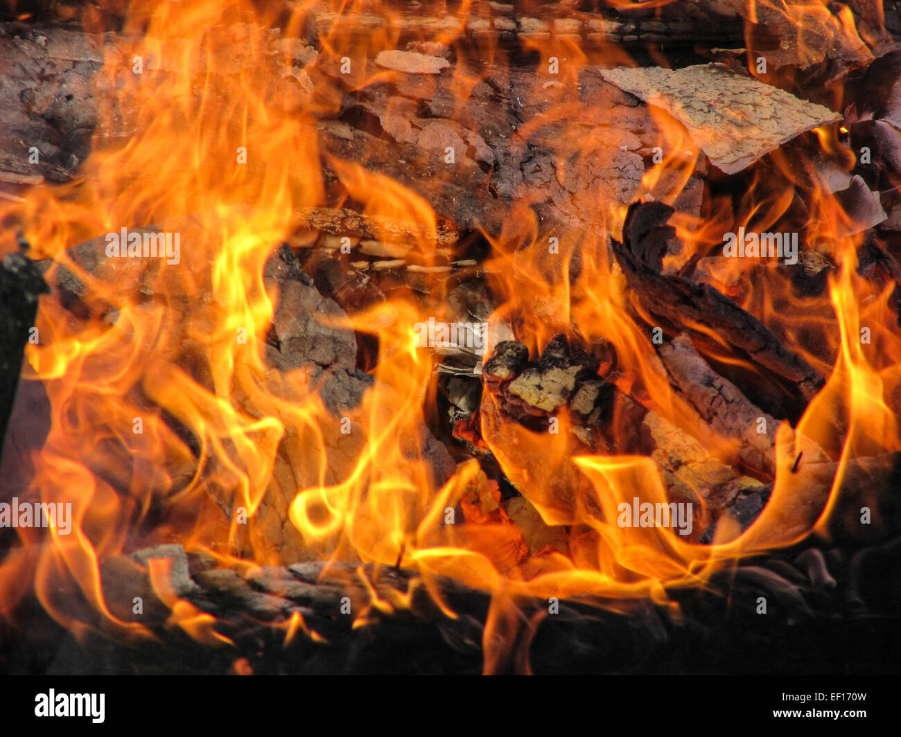 Close up of a bonfire, burning wood with bright orange and yellow ...