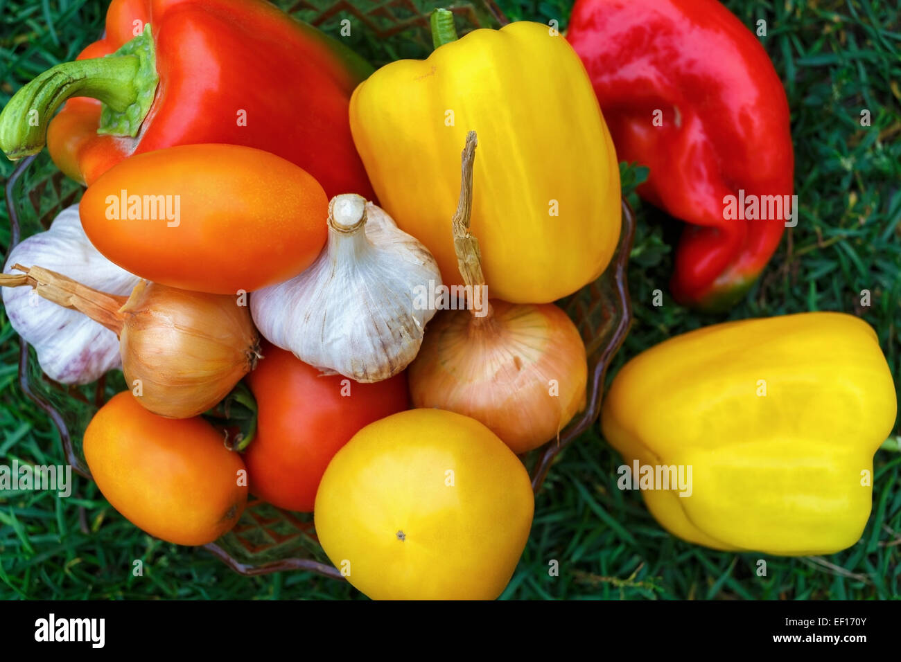 Delicious home-grown vegetables on green grass background. Top view ...