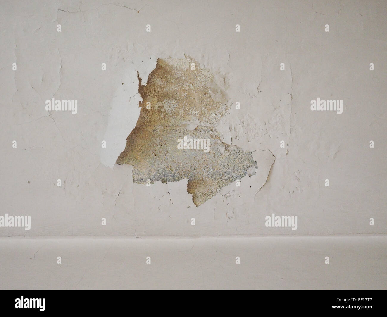 Damage caused by damp and moisture on a wall Stock Photo - Alamy