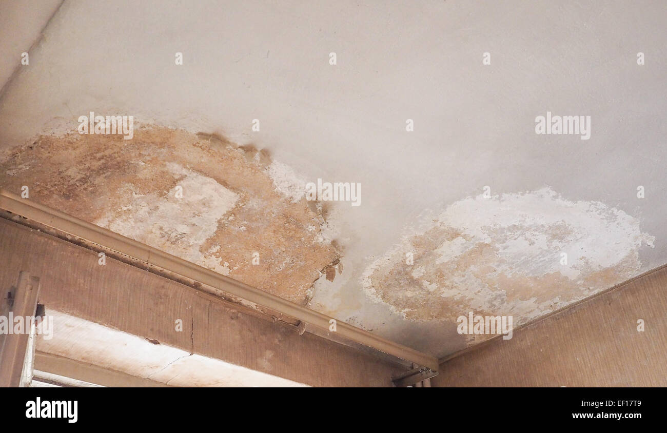 Damage caused by damp and moisture on a ceiling Stock Photo - Alamy