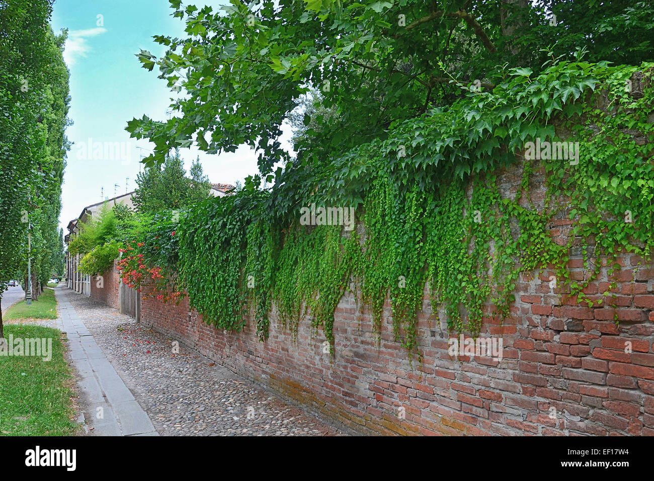 fence with brick pavement street green city Stock Photo - Alamy
