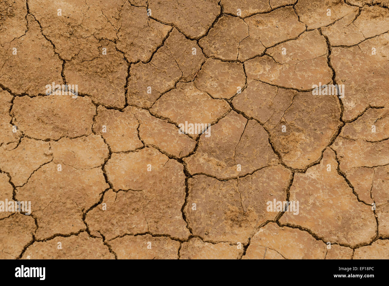 dry land soil without water Desert Dead Land Stock Photo - Alamy
