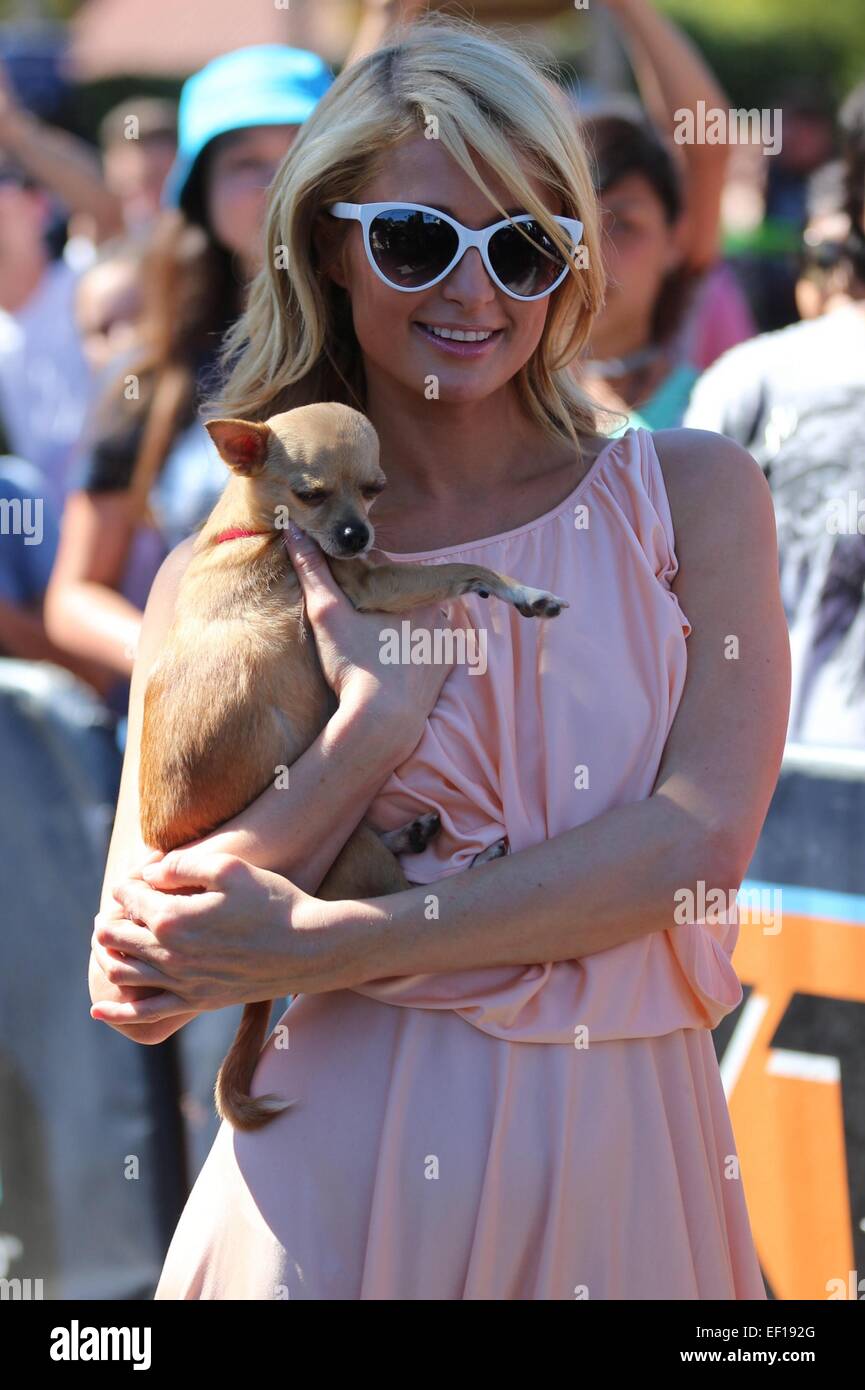 Paris Hilton appears on Extra with her pet chihuahua dog, Peter Pan ...