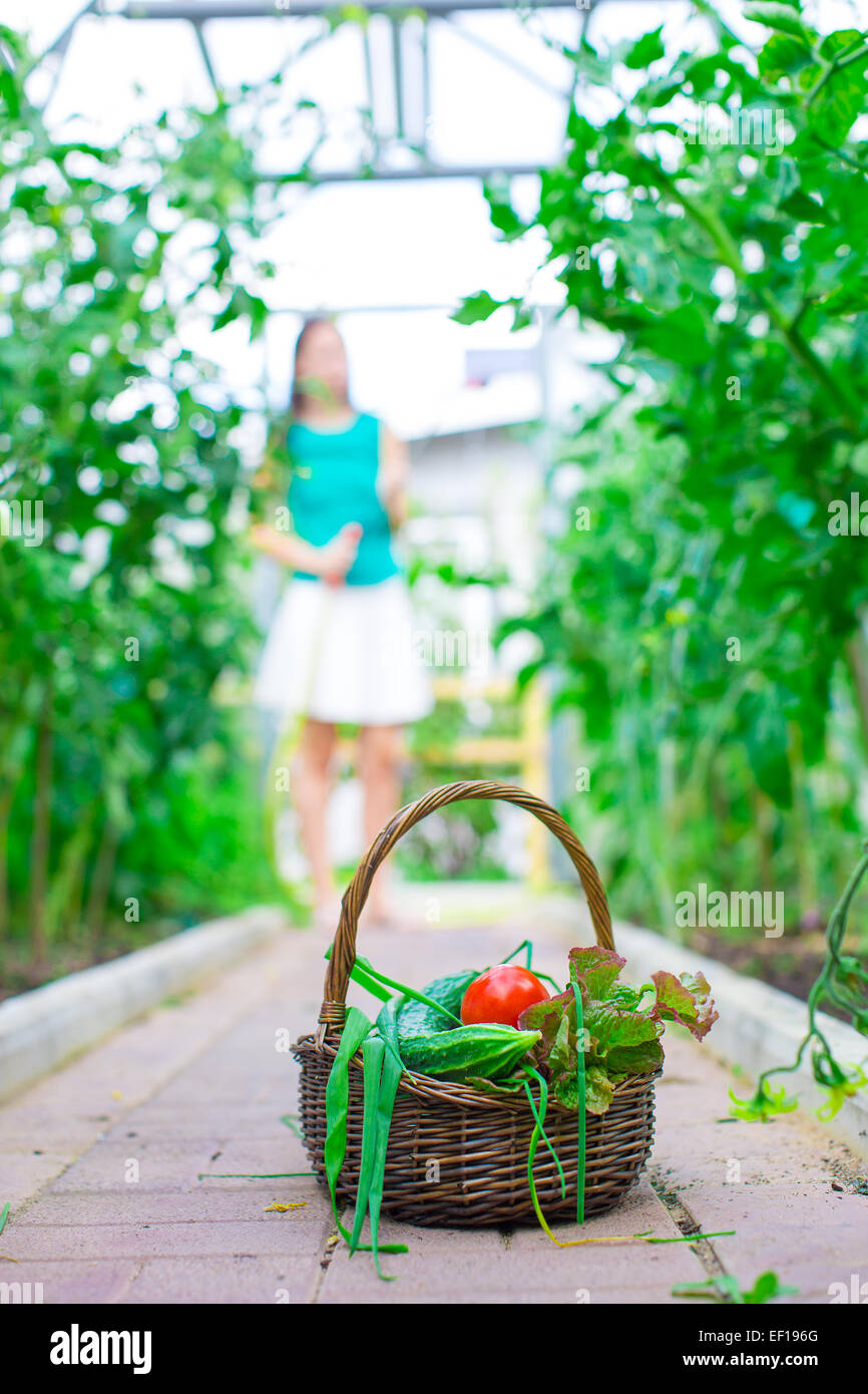 Womans hands basket green fresh hi-res stock photography and images - Alamy