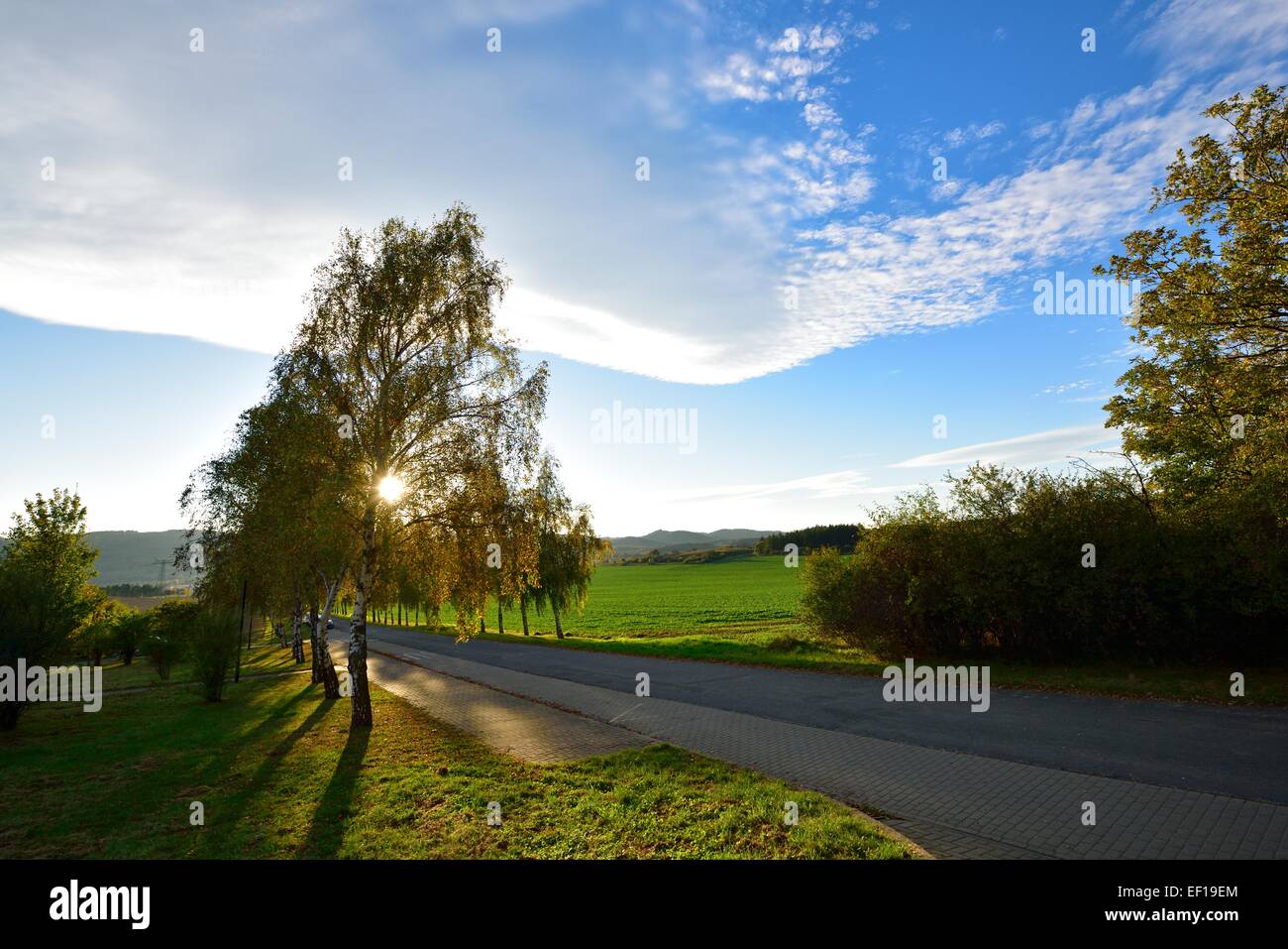 Old castle regenstein hi-res stock photography and images - Alamy