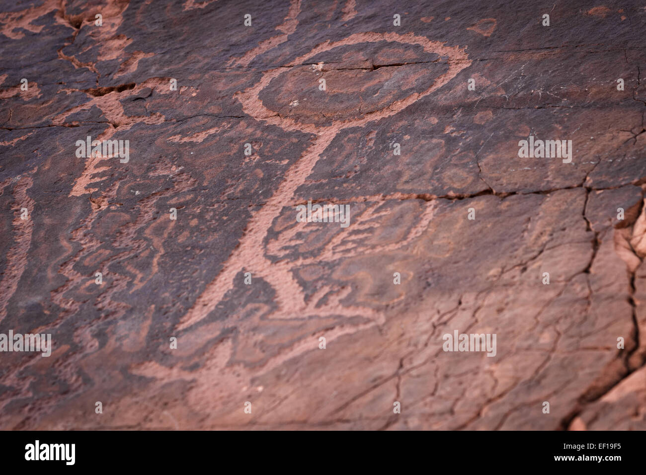 ancient rock art in southern Nevada. Valley of Fire State Park Stock ...