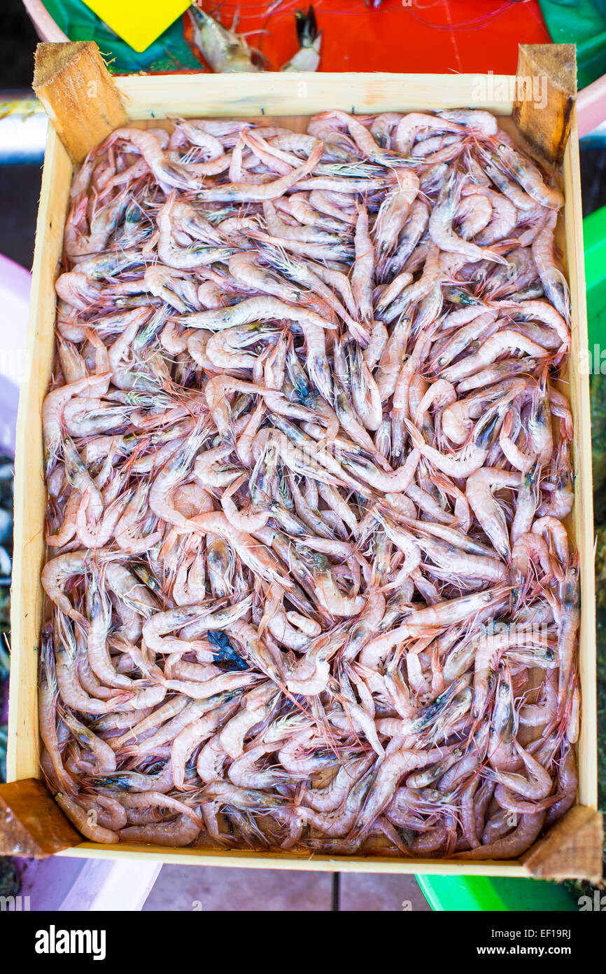 Fish market with fresh sea fishes in Istanbul, Turkey Stock Photo - Alamy