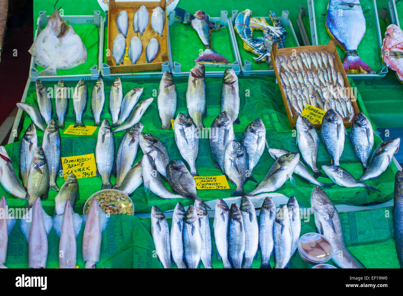 Fish market with fresh sea fishes in Istanbul, Turkey Stock Photo - Alamy