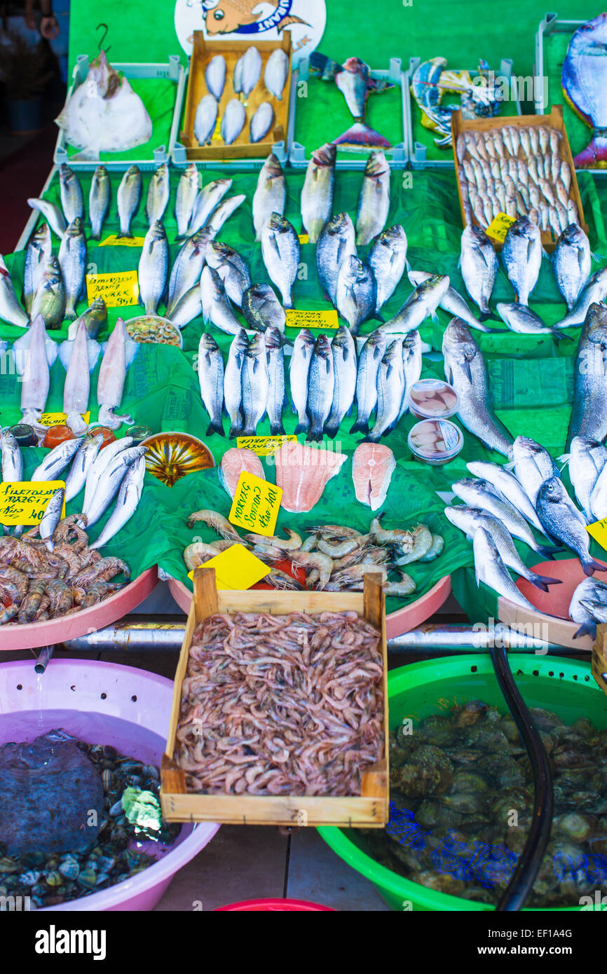 Fish market in Istanbul, Turkey with fresh sea fishes Stock Photo - Alamy
