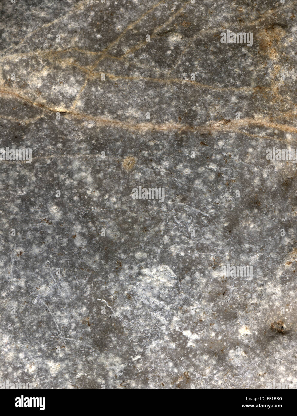 Veined stone texture hi-res stock photography and images - Alamy