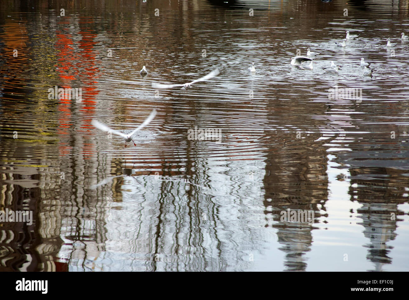 Surface turmoil hi-res stock photography and images - Alamy