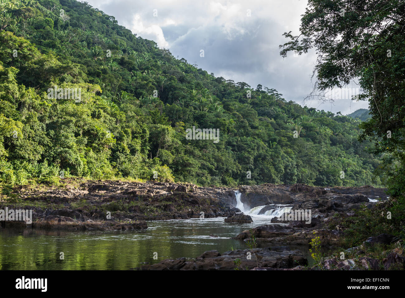 Vaca Falls on the Macal River running through lush jungles of Belize ...