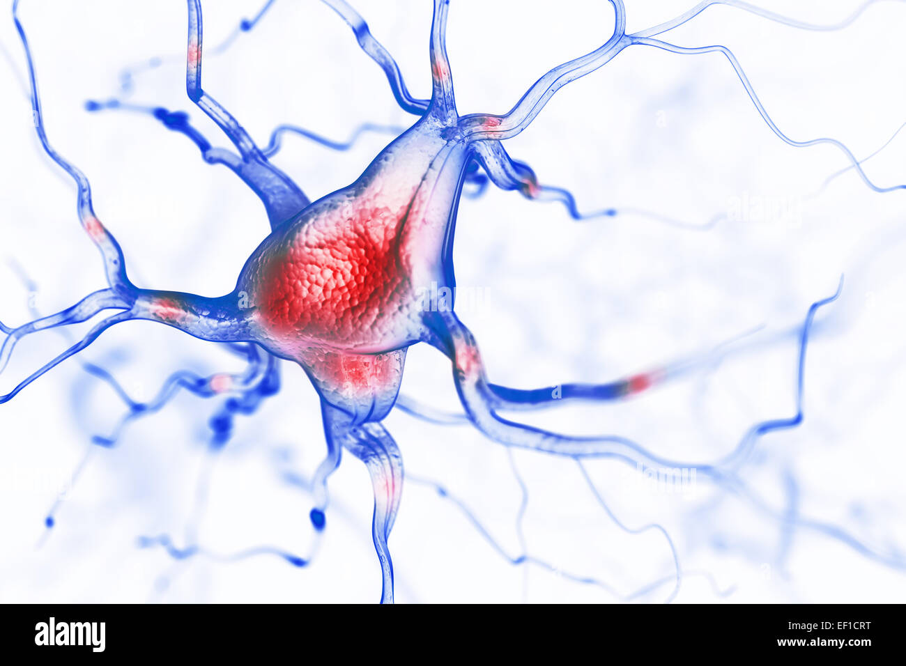 Red Neuron High Resolution Stock Photography and Images - Alamy