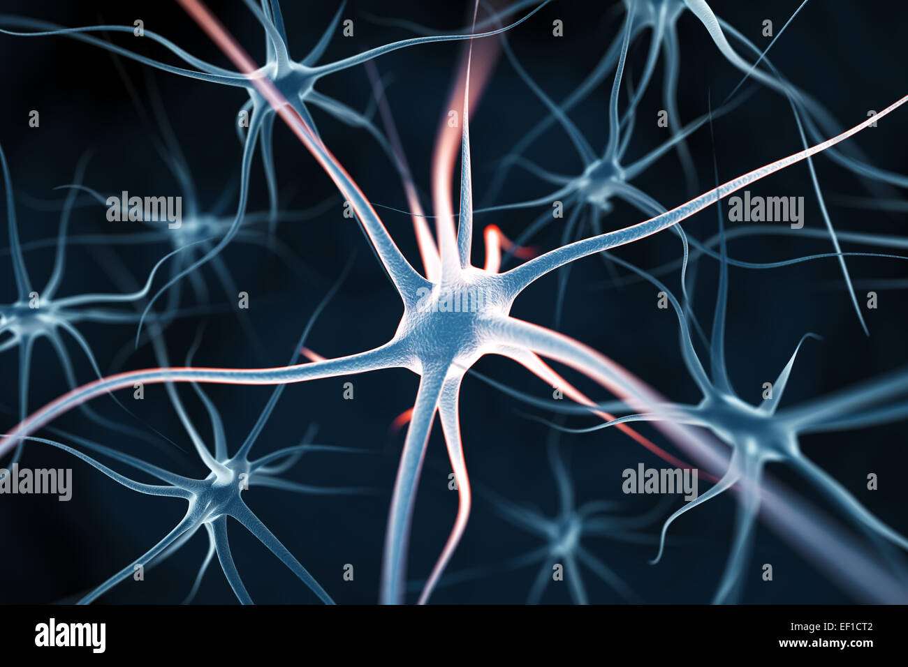Neurons abstract background Stock Photo - Alamy