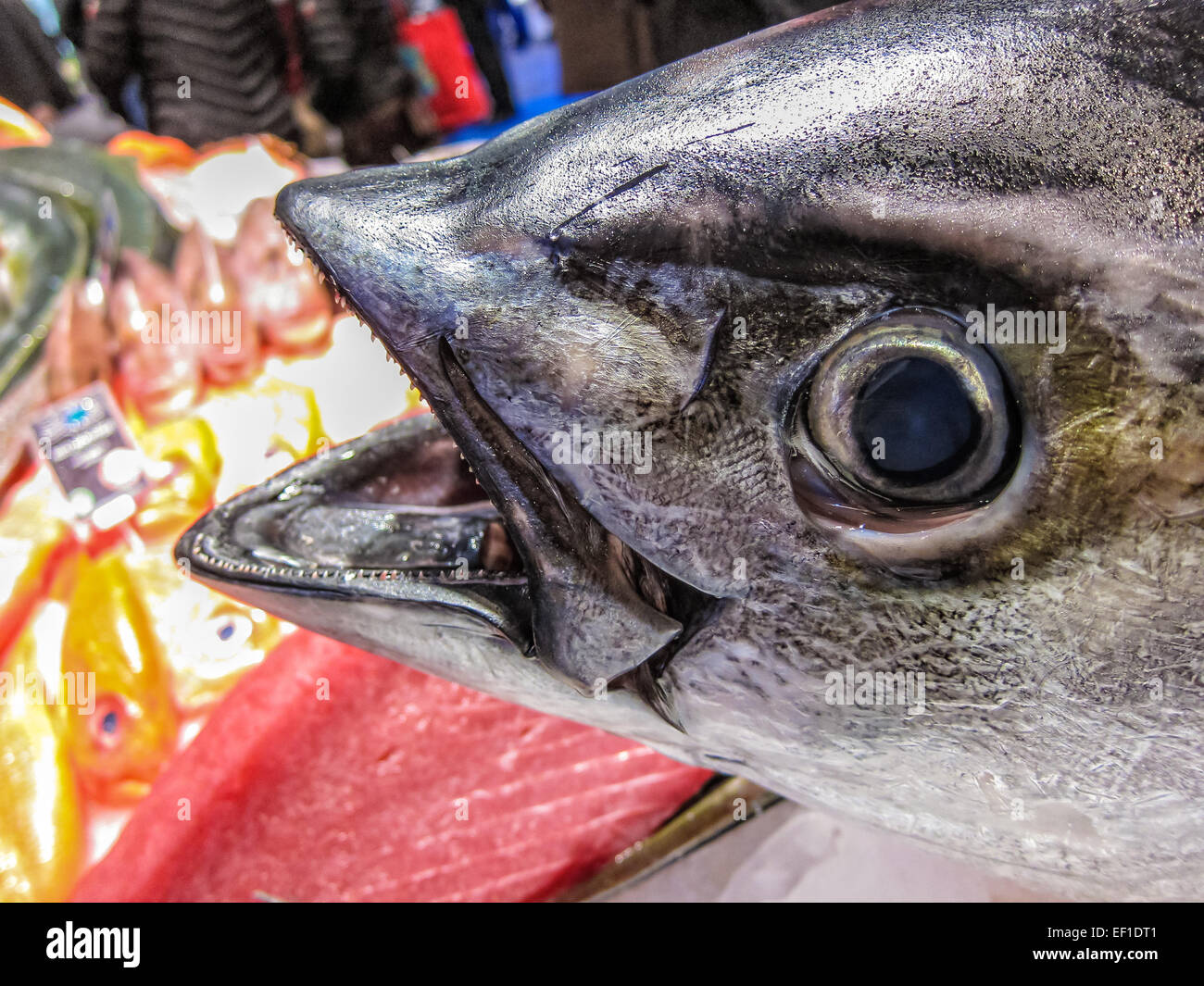 Fresh fish in a fish market Stock Photo - Alamy