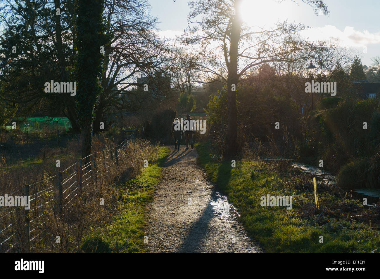 Romantic evening stroll couple hold hi-res stock photography and images ...
