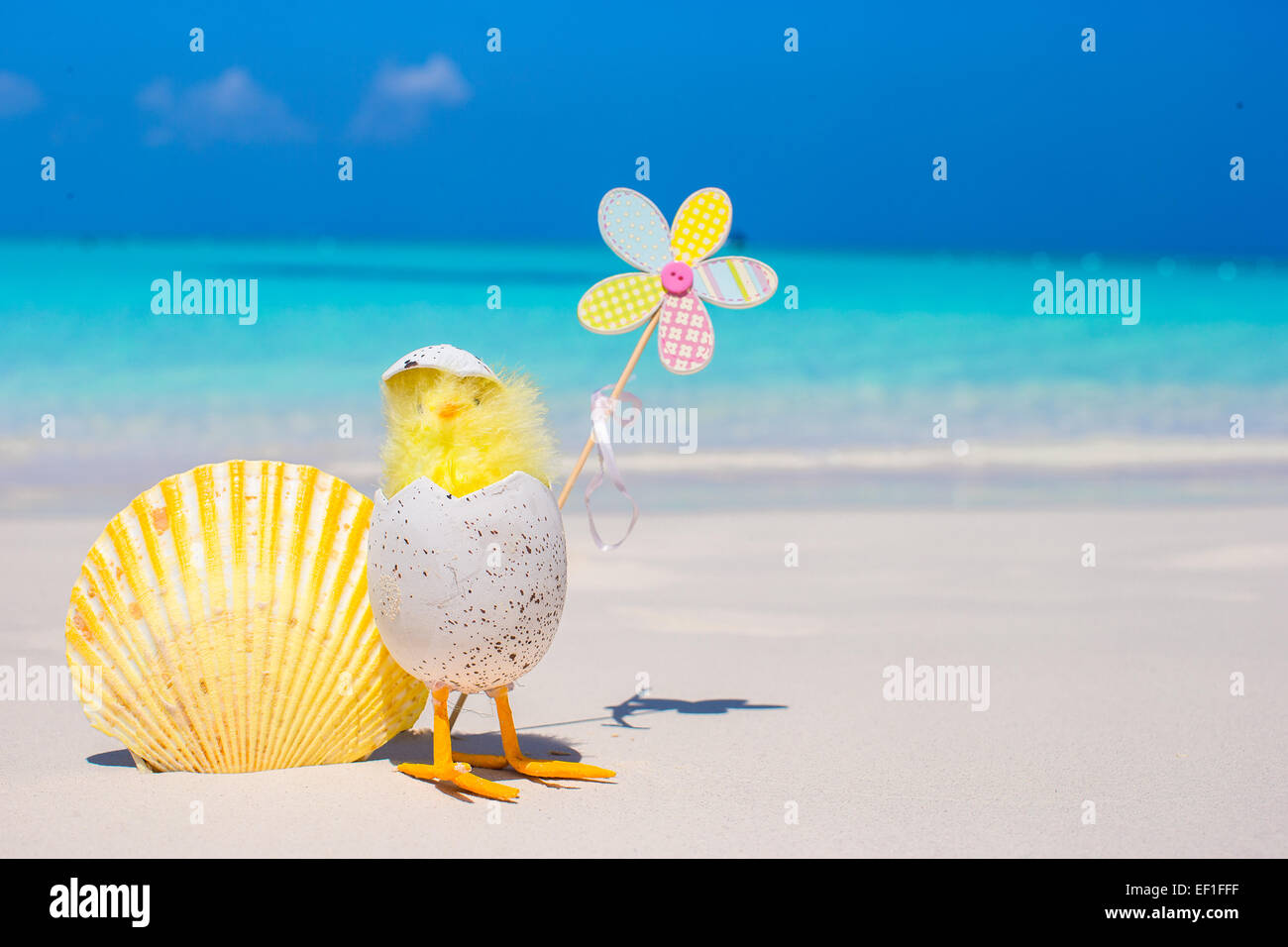 Chickens on the beach hi-res stock photography and images - Alamy