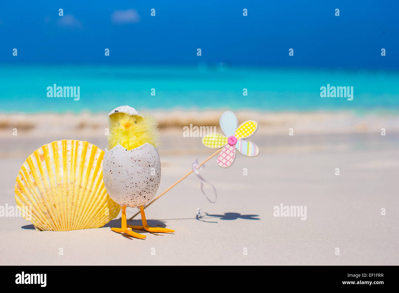 Chickens on the beach hi-res stock photography and images - Alamy