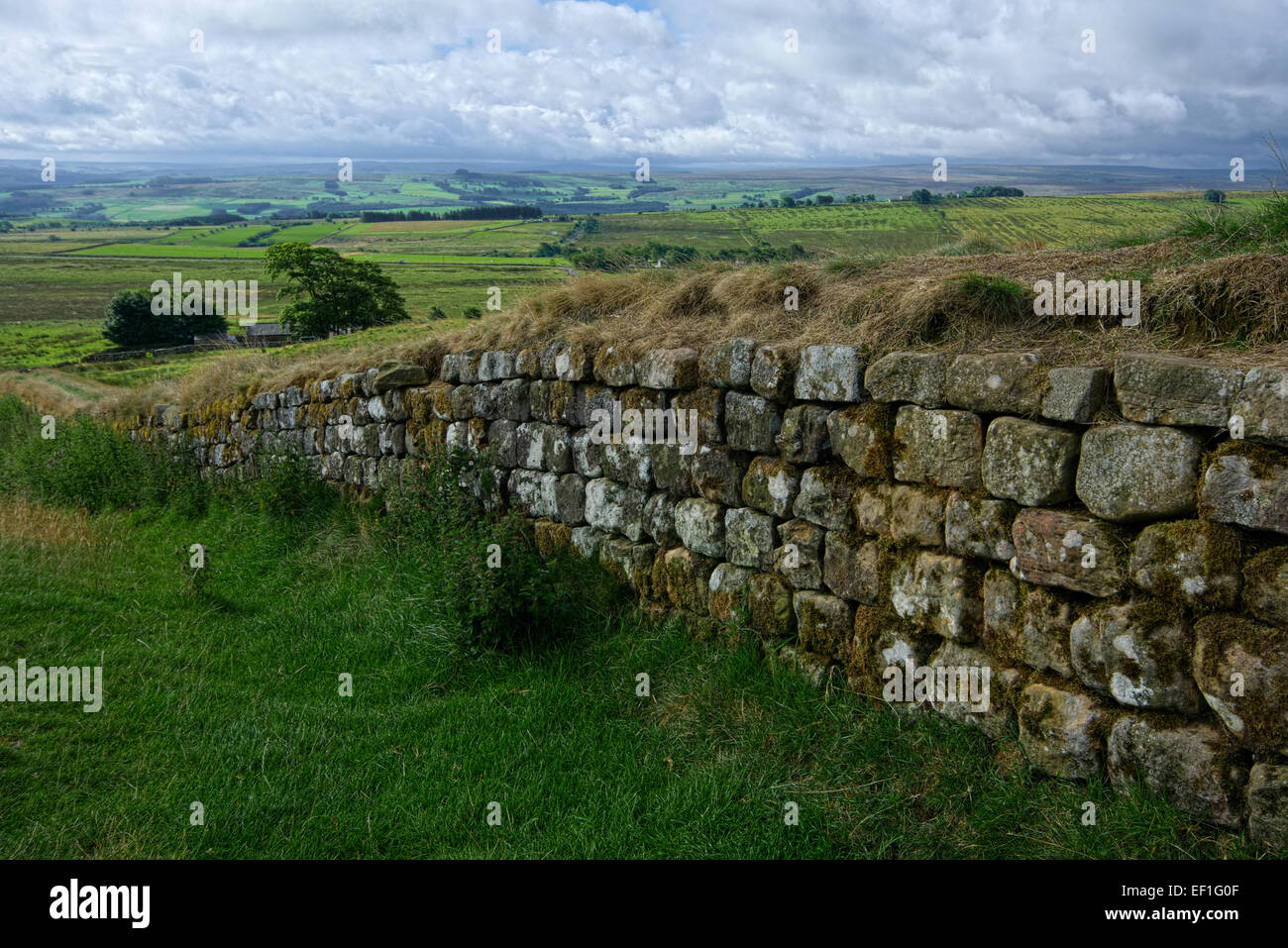 Sycamore Gap on Hardians Wall, Northumberland Stock Photo - Alamy