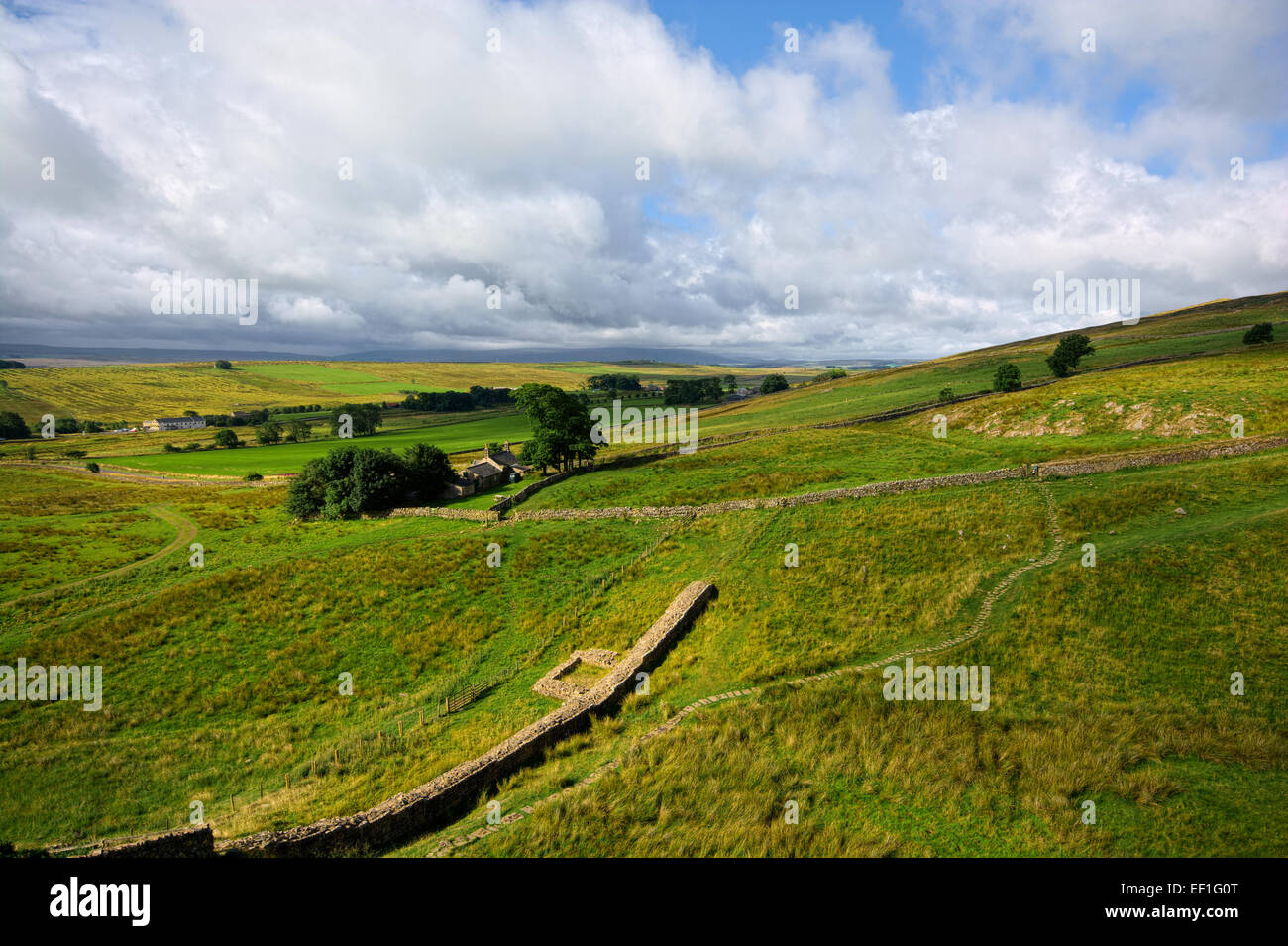 Sycamore Gap on Hardians Wall, Northumberland Stock Photo - Alamy