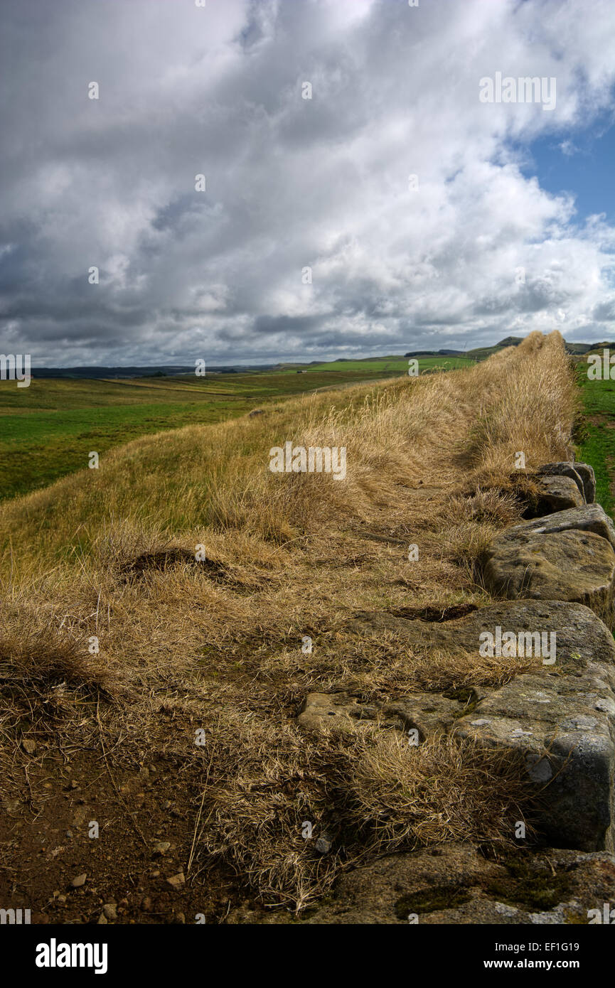 Sycamore Gap on Hardians Wall, Northumberland Stock Photo - Alamy
