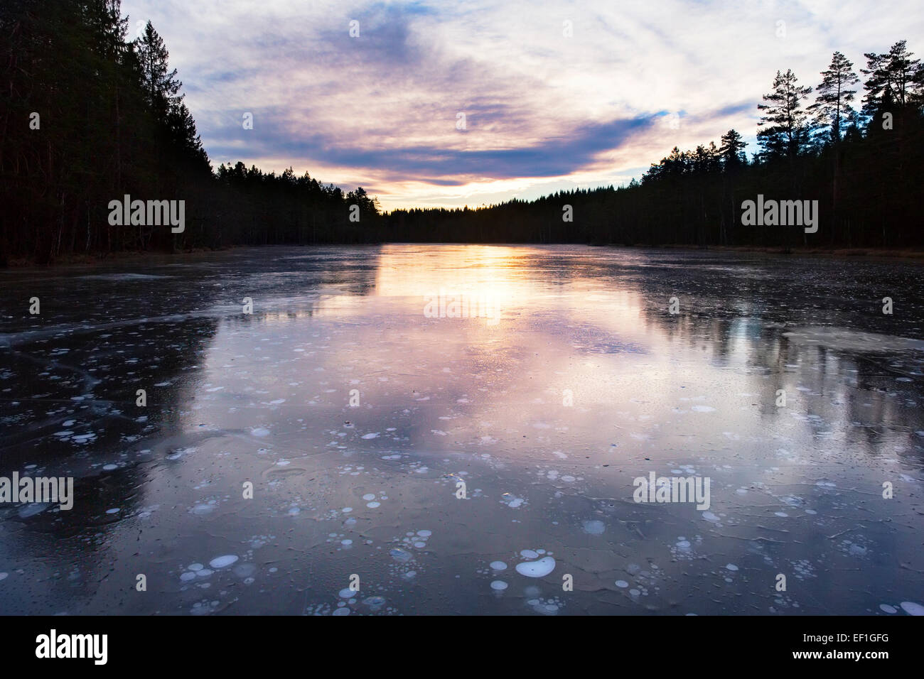 Idyllic and icy lake in sunset Stock Photo - Alamy