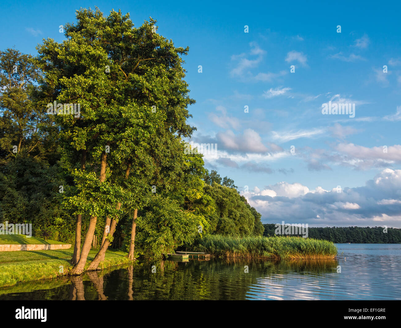 Landscape on a lake Stock Photo - Alamy