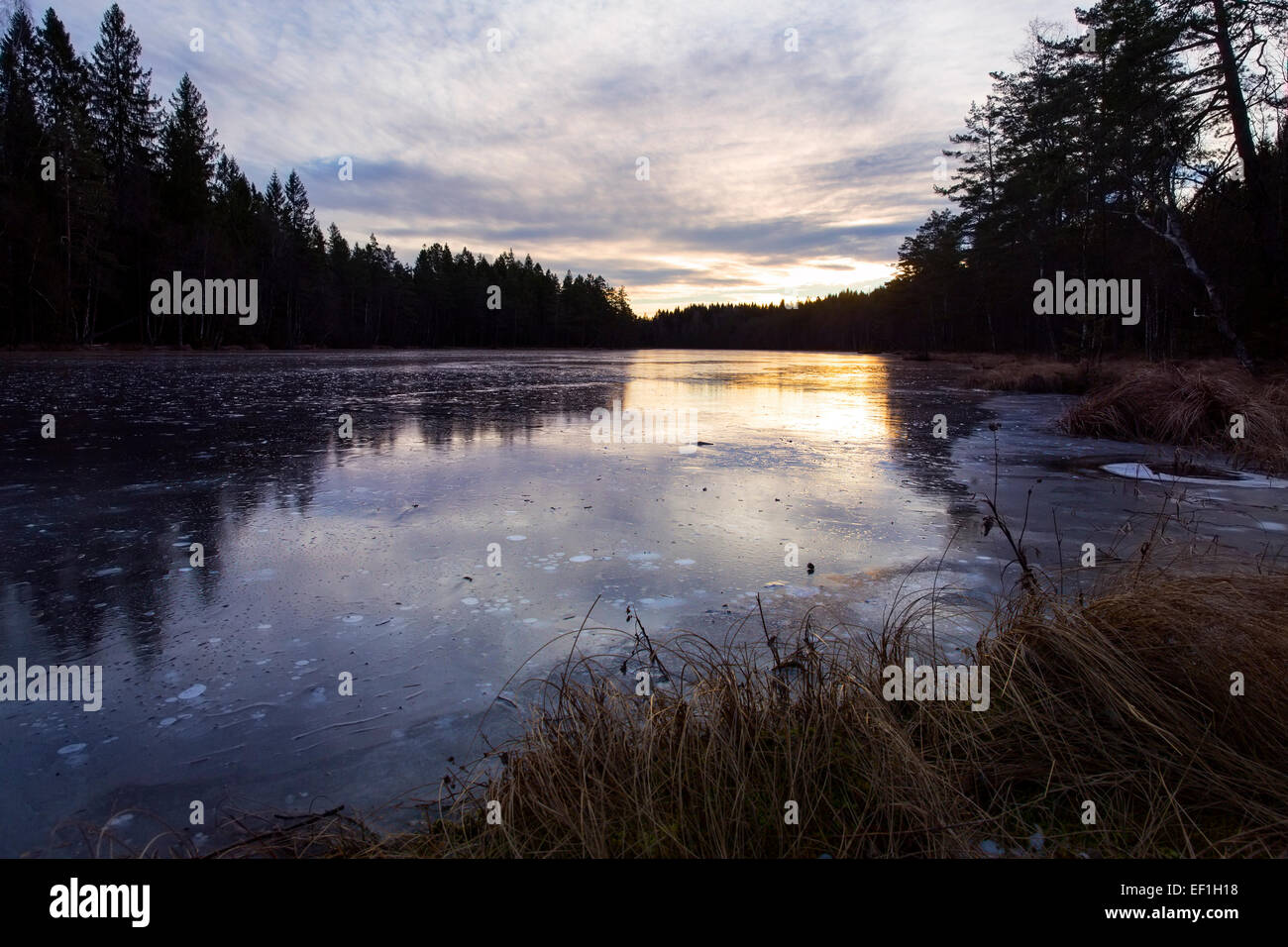 Icy fresh water lake in the sunset Stock Photo - Alamy