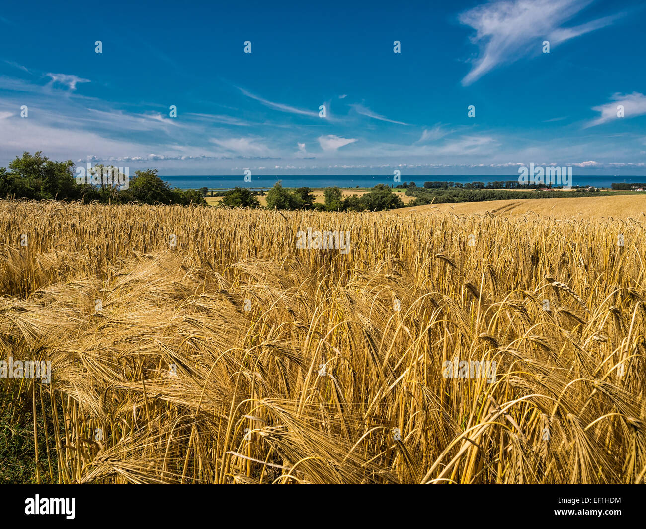 Summer on the baltic sea hi-res stock photography and images - Alamy