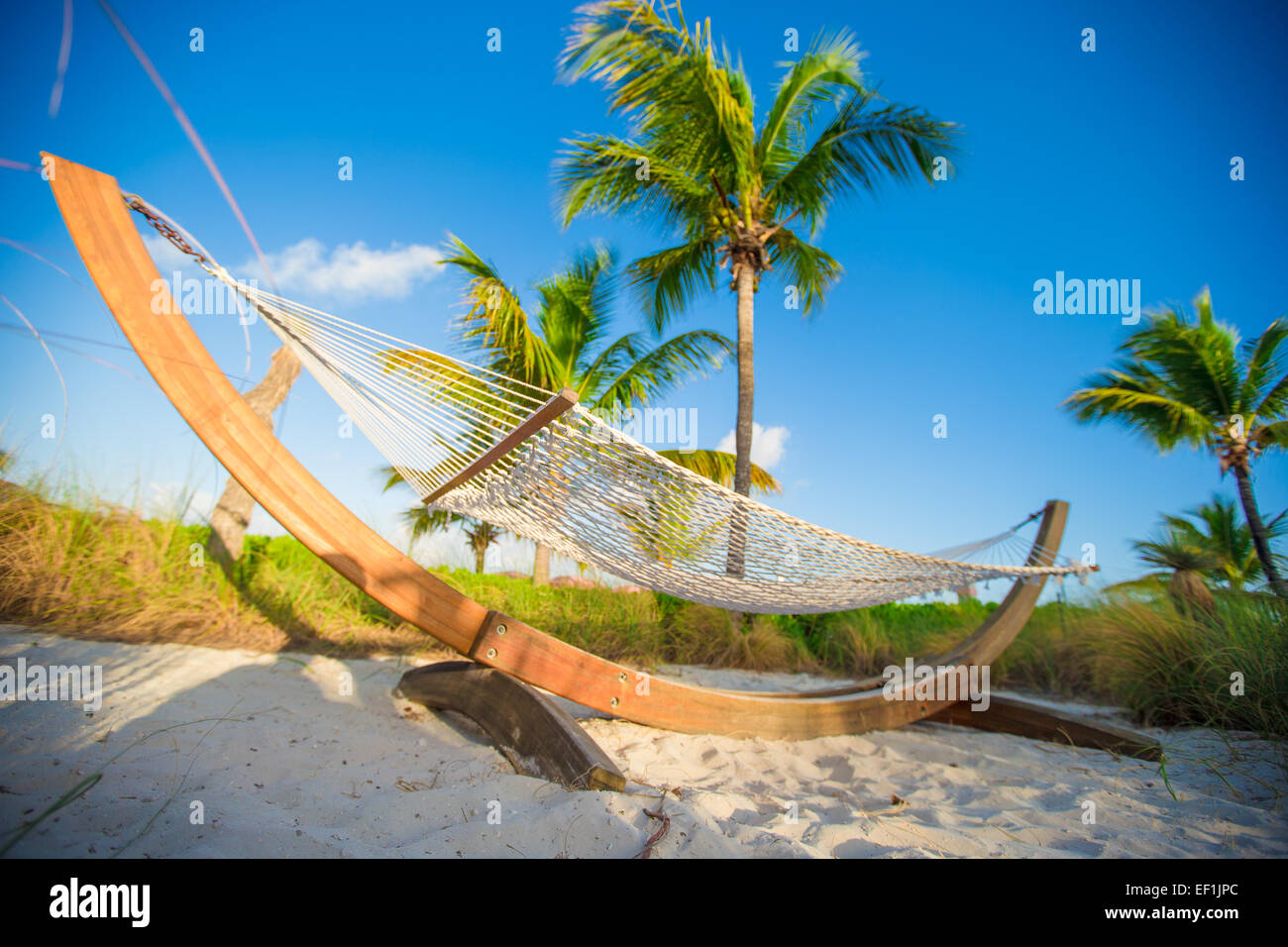 Straw hammock in the shadow of palm on tropical beach by sea Stock ...