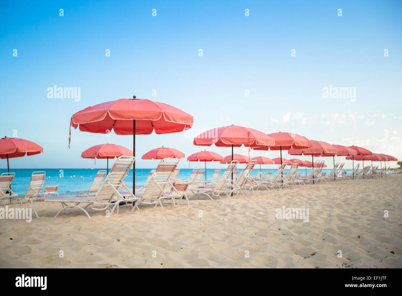 Paradise view of tropical empty sandy plage with umbrella and beach ...