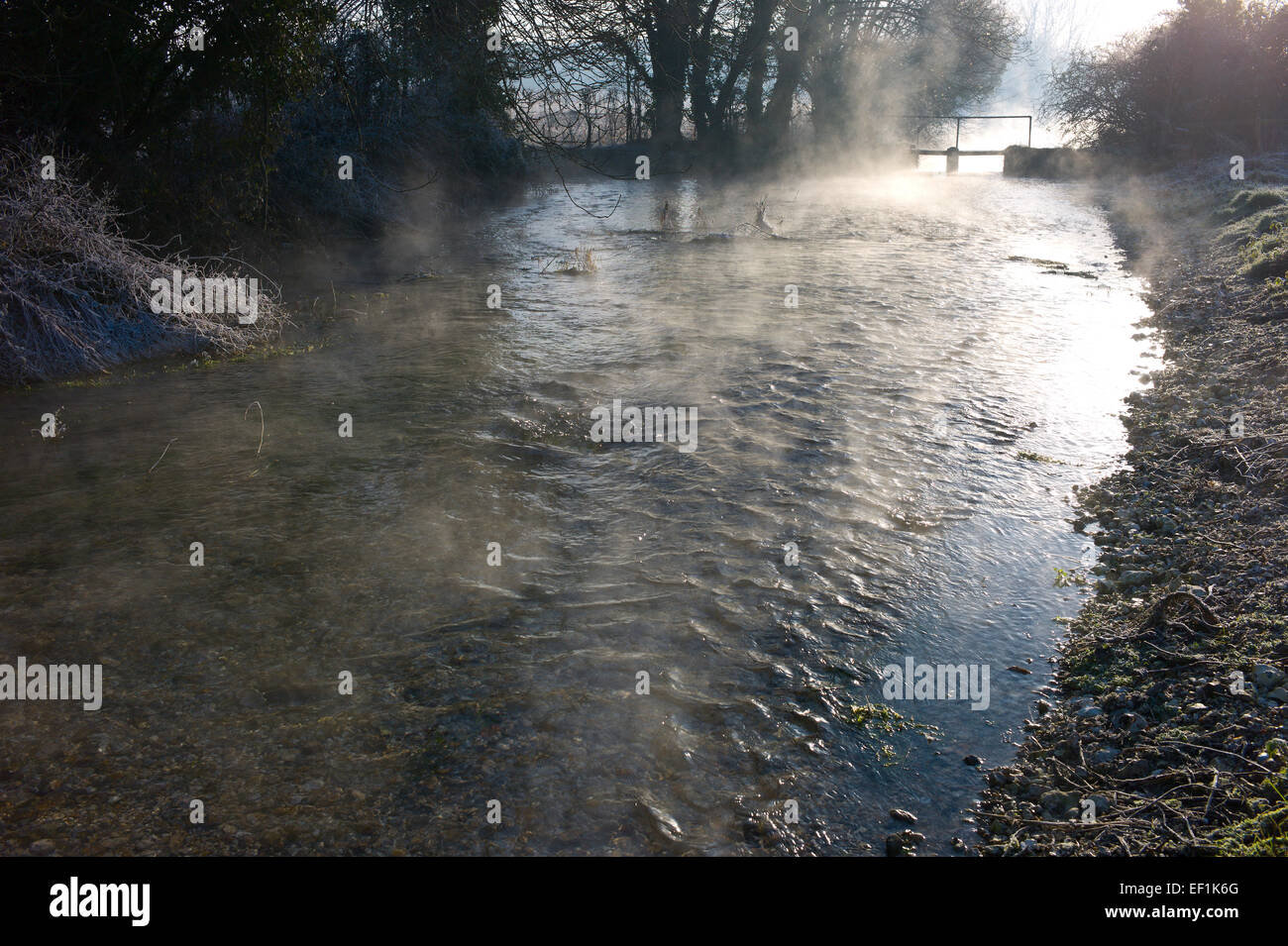 Frost on a winter morning beside the Bourne Rivulet, a tributary of the ...