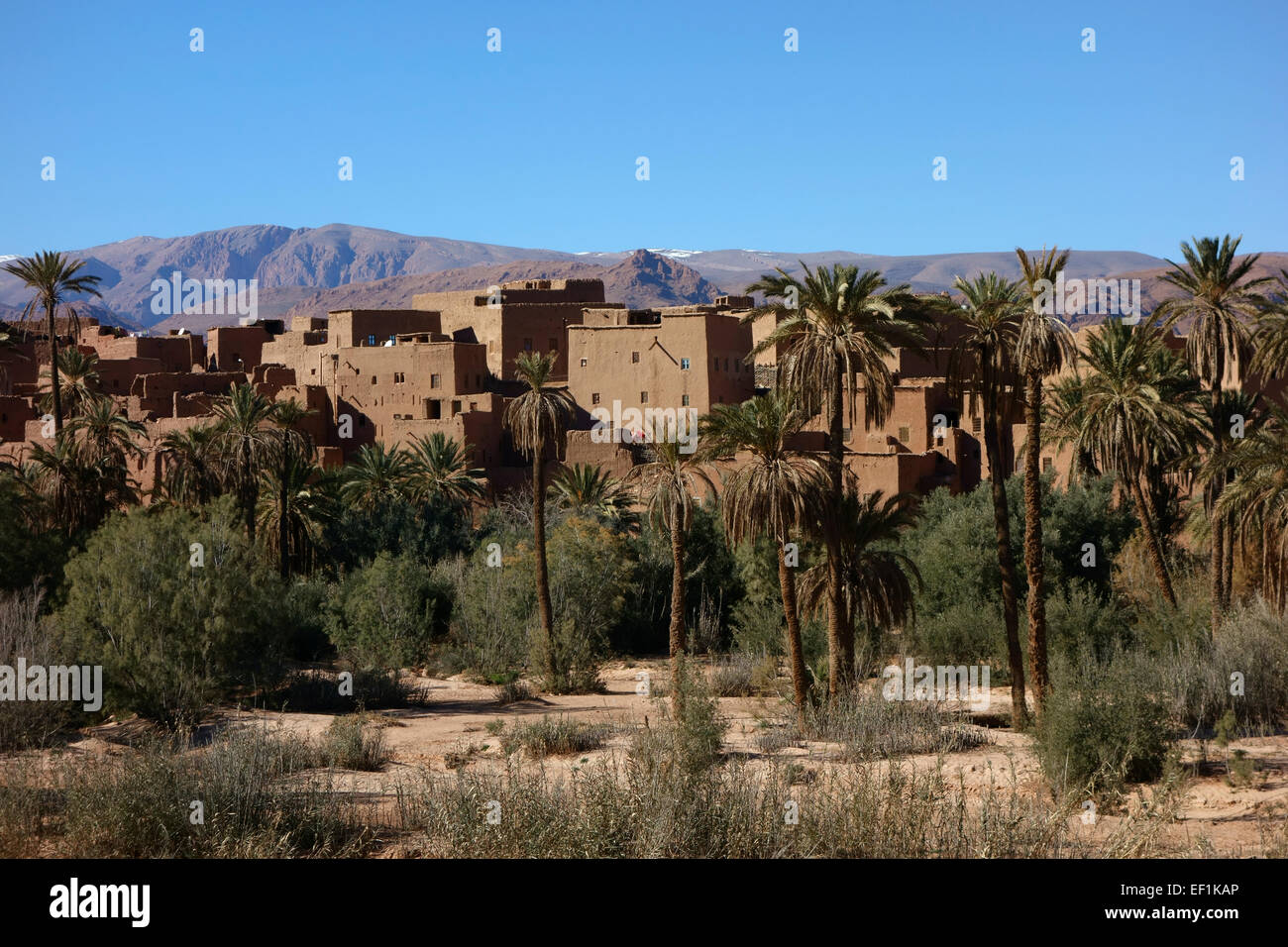 Tinerhir village hi-res stock photography and images - Alamy