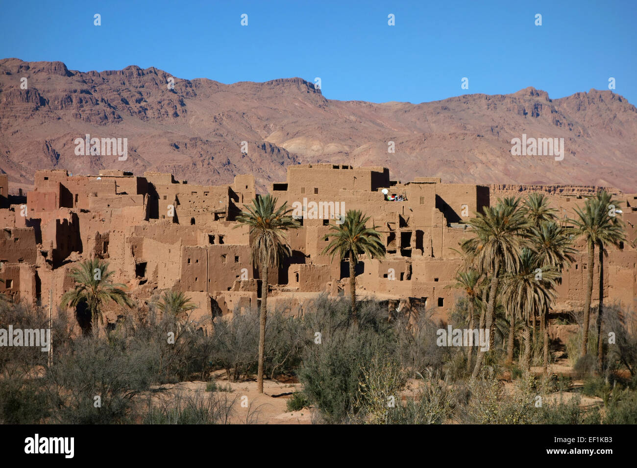 Old houses in Tinerhir, Todra Valley, Morocco Stock Photo - Alamy
