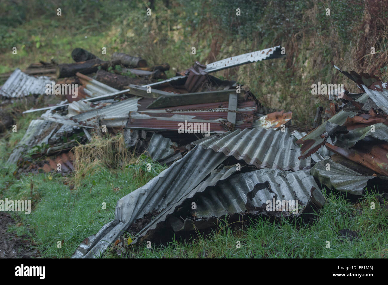 Roofing Sheet Stock Photos & Roofing Sheet Stock Images - Alamy
