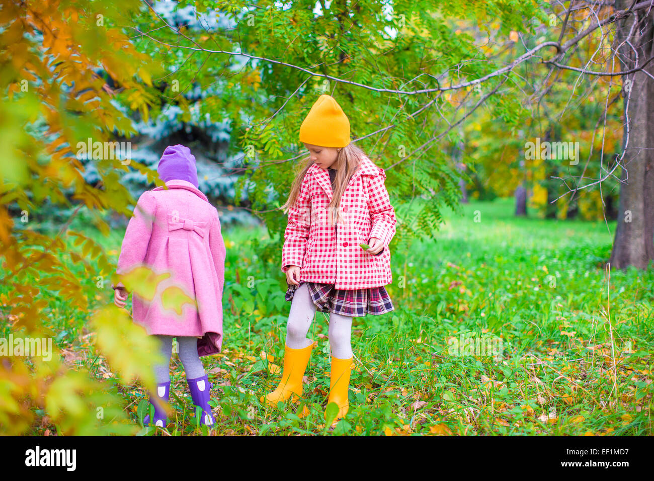 Two adorable girls in forest at warm sunny autumn day Stock Photo - Alamy