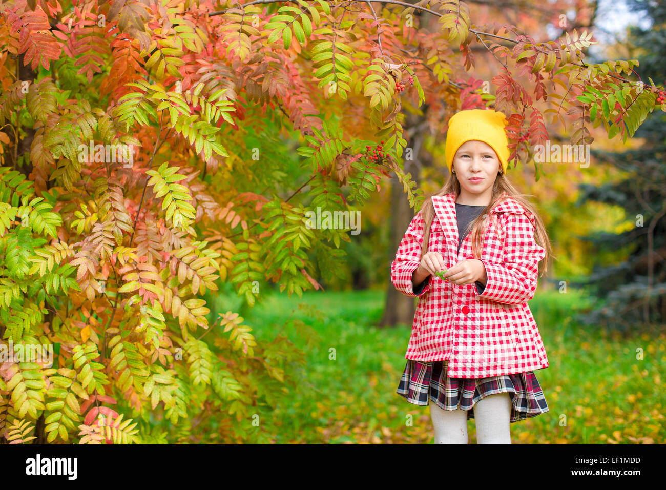 Adorable little girl at beautiful autumn day outdoors Stock Photo - Alamy