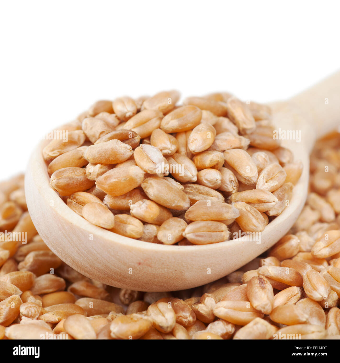 wheat grains in wooden spoon Stock Photo - Alamy