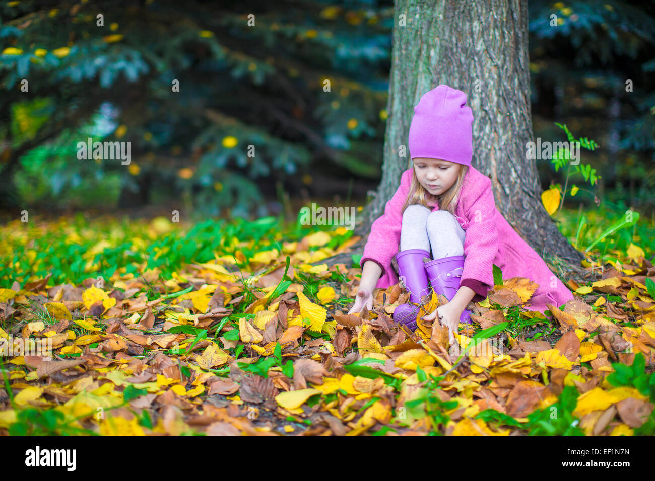 Little adorable girl in autumn park on sunny fall day Stock Photo - Alamy