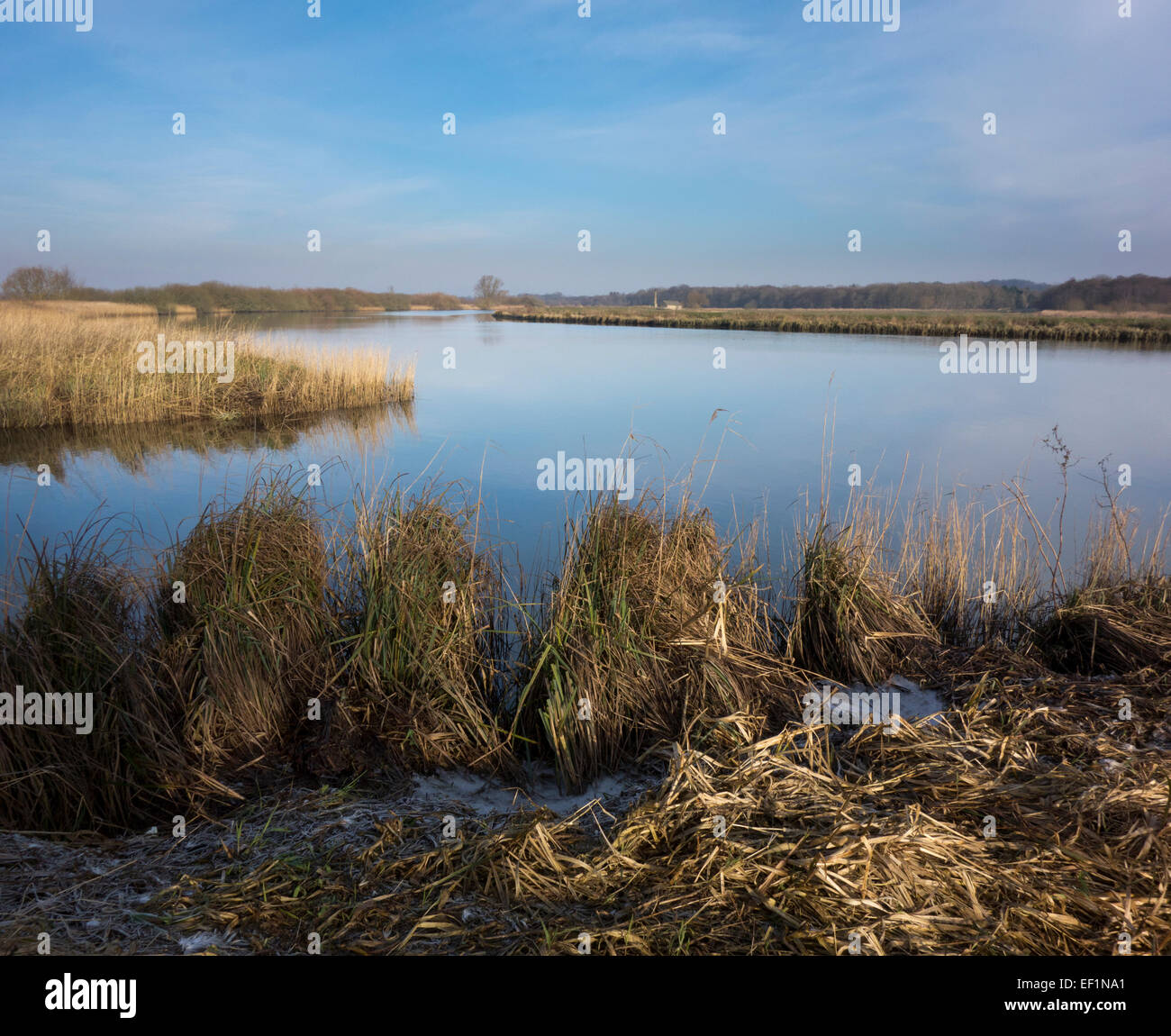 River Yare winter Stock Photo - Alamy