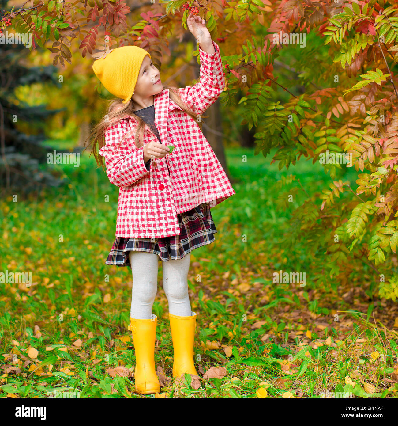 Adorable little girl at beautiful autumn day outdoors Stock Photo - Alamy
