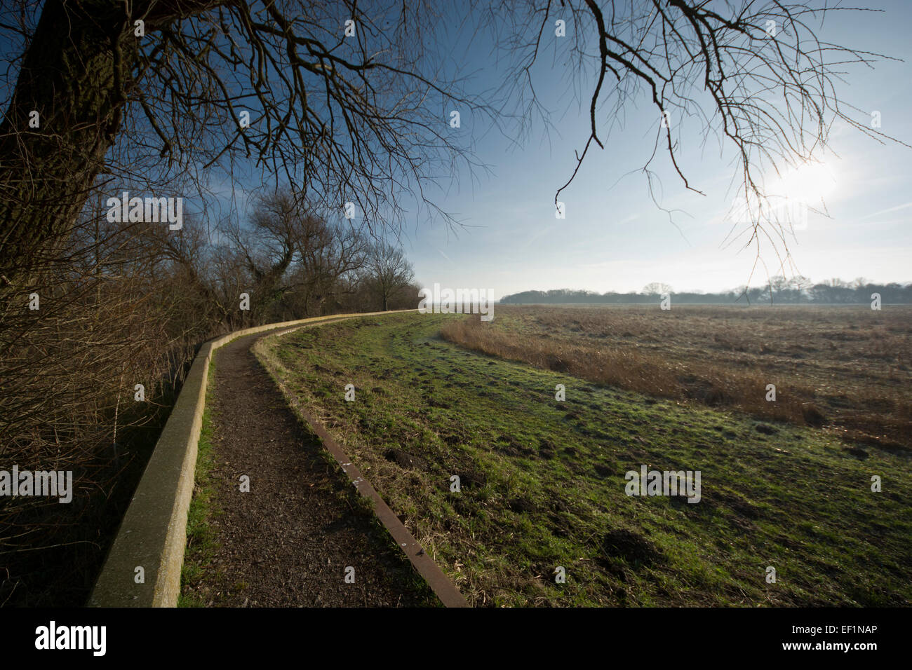 Flood bank hi-res stock photography and images - Alamy