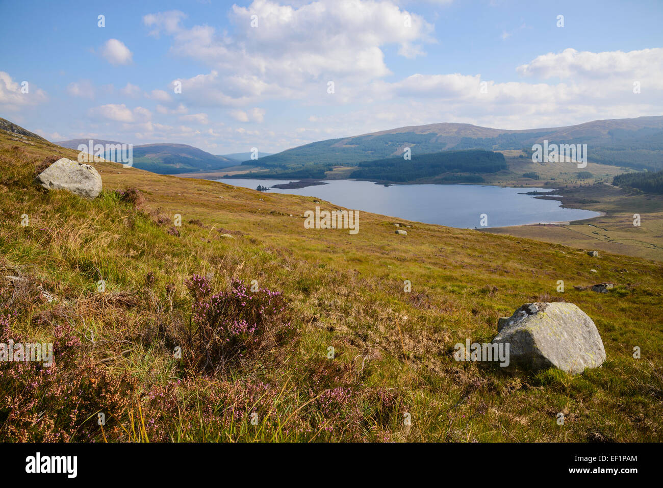 Loch Dee from Craiglee, Galloway Hills, Dumfries & Galloway, Scotland ...