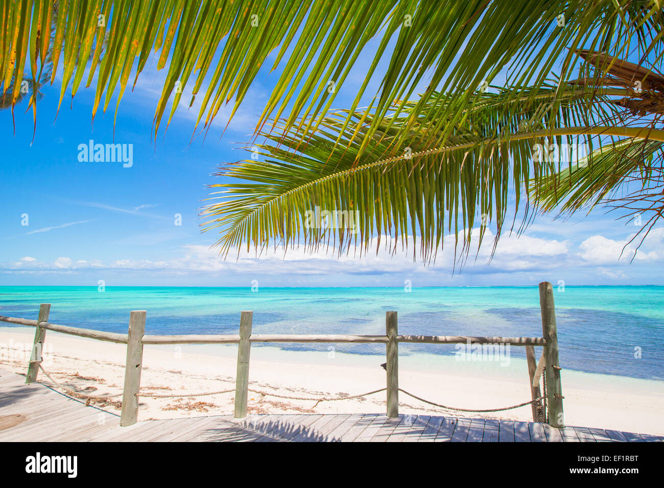 Tropical beach with palms and white sand on Caribbean Stock Photo - Alamy