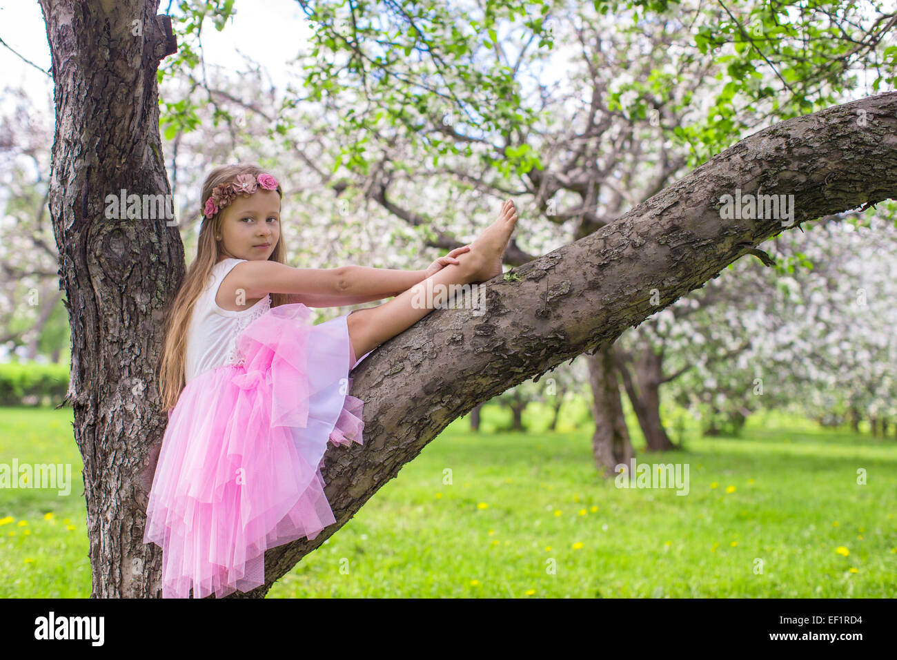 Little adorable girl sitting on blossoming apple tree Stock Photo - Alamy