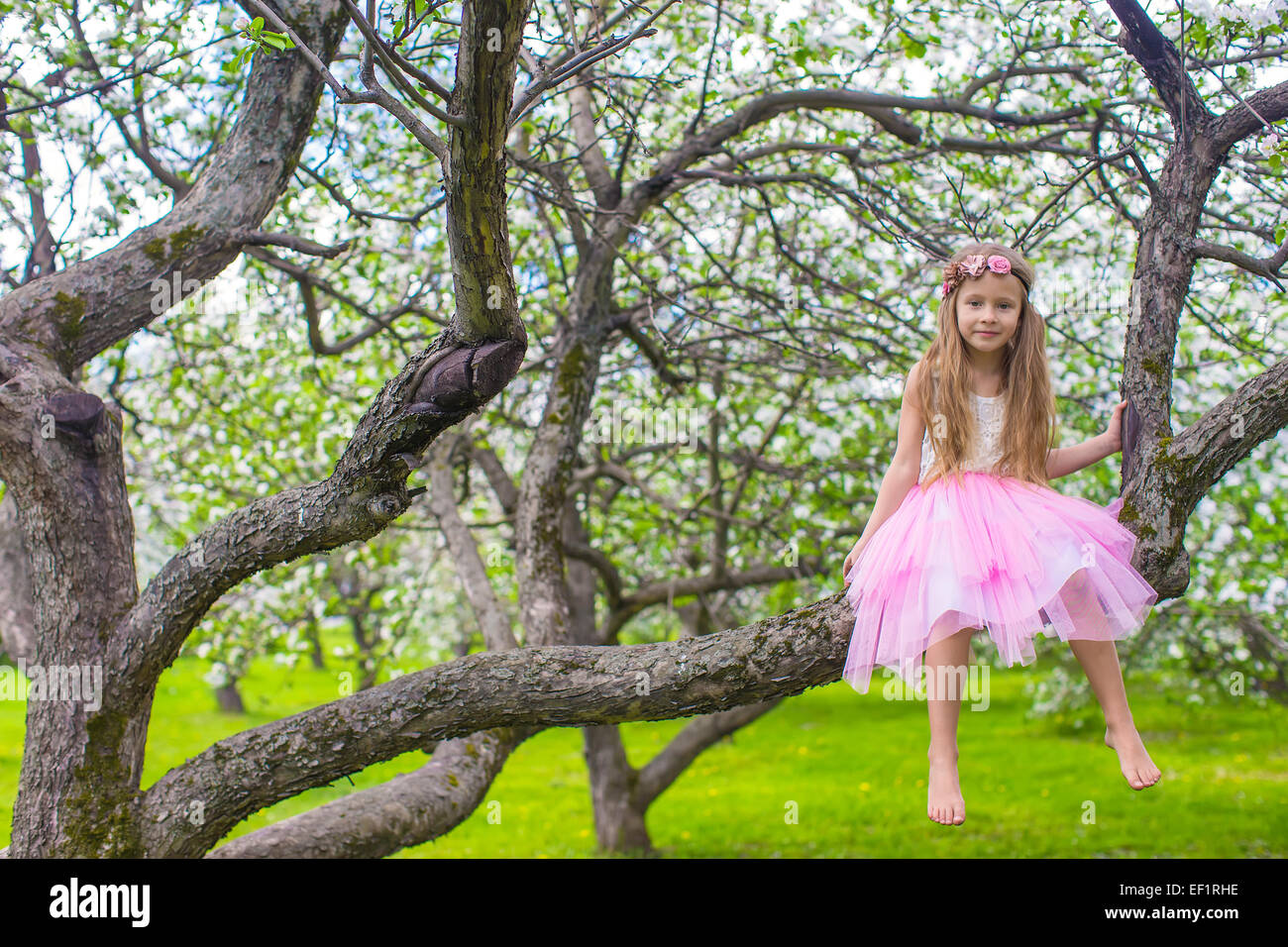 Little adorable girl sitting on blossoming apple tree Stock Photo - Alamy