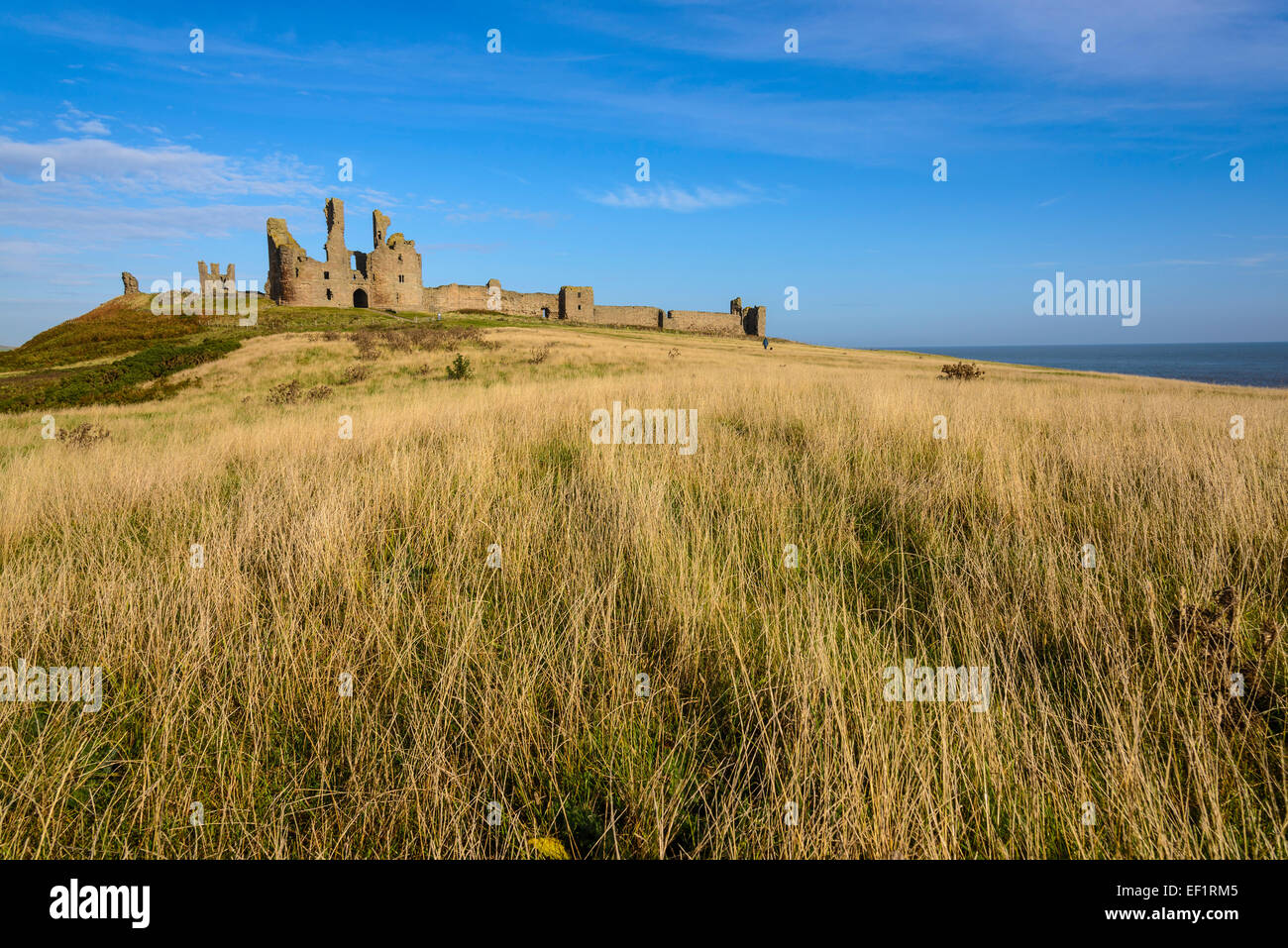 Dunstanburgh Castle, Northumberland, England Stock Photo - Alamy